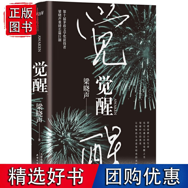 【速发】 觉醒（第十届茅盾文学奖、热映电视剧《人世间》原著作者梁晓声作品）精装版