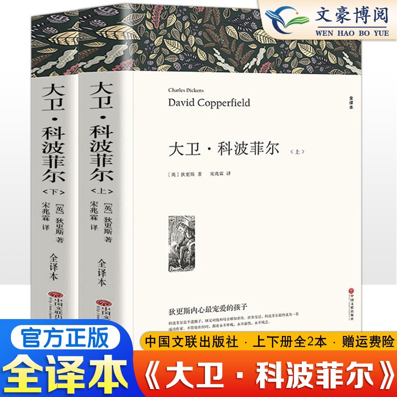 经典世界名著瓦尔登湖傲慢与偏见呼啸山庄老人与海红与黑悲惨世界战争与和平复活巴黎圣母院飘原版原著无删减版 大卫·科波菲尔