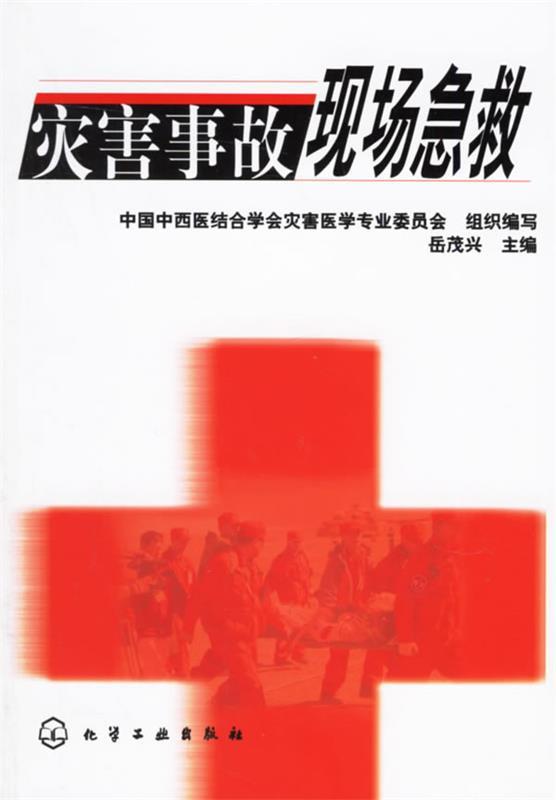 灾害事故现场急救