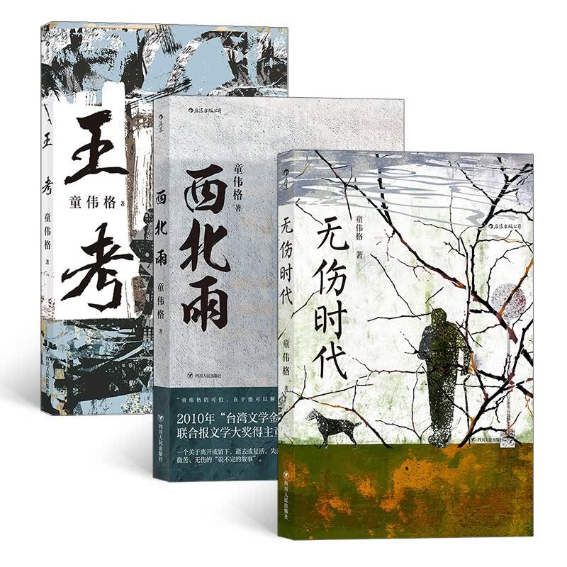 童伟格系列：王考+无伤时代+西北雨（套装共3册）