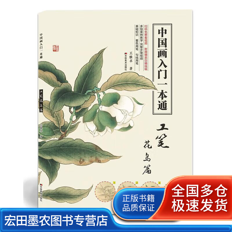 工笔花鸟篇中国画入门一本通【好书】