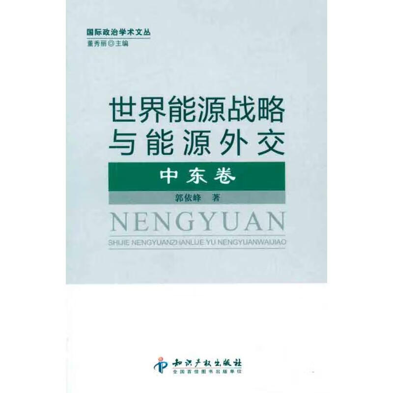 世界能源战略与能源外交·中东卷