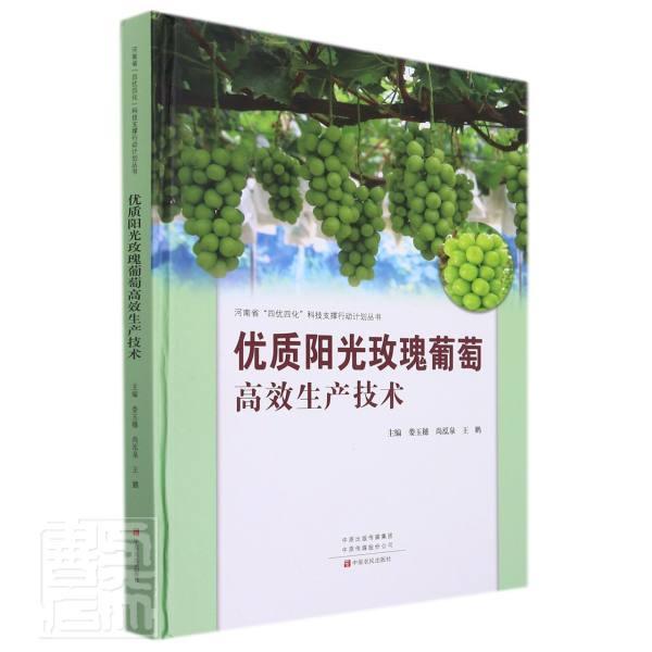 优质阳光玫瑰葡萄生产技术娄玉穗中原农民出版社有限公司9787554224724 计算机与互联网书籍