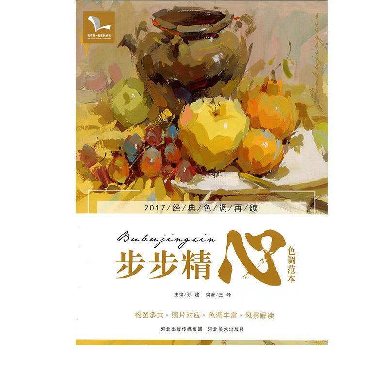 步步精心色调范本 河北美术出版社