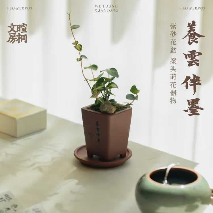 暄桐文房 养云伴墨 紫砂花盆 案头莳花器物