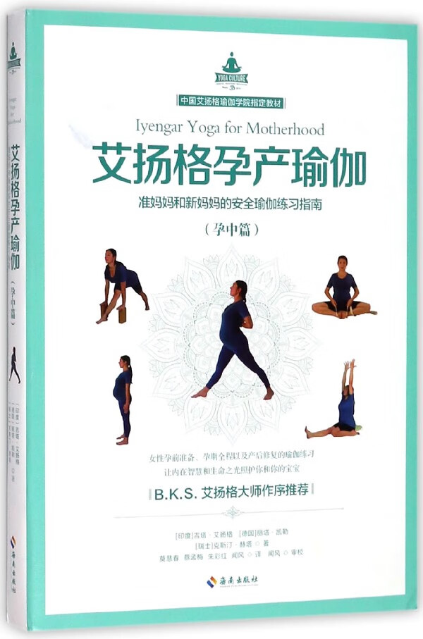艾扬格孕产瑜伽(孕中篇中国艾扬格瑜伽学院指定教材)