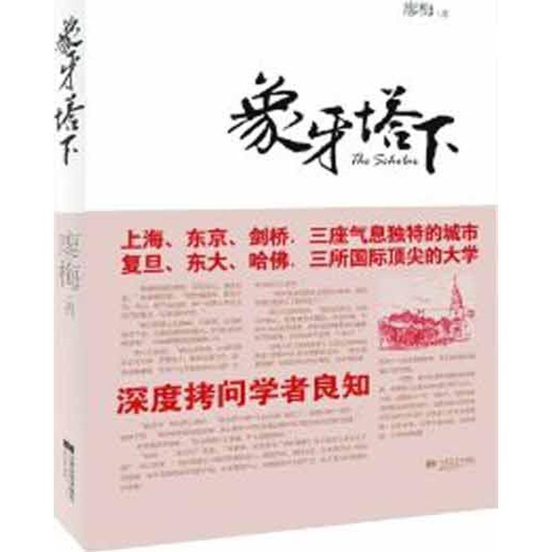 象牙塔下 廖梅 著