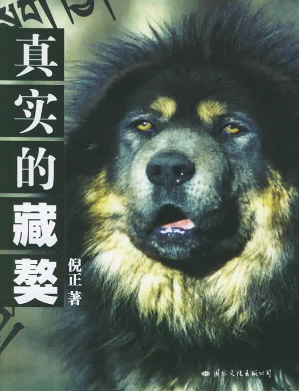 真实的藏獒 倪正 著【书】