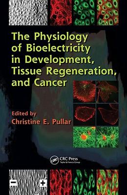 高被引The Physiology of Bioelectricity in Developm