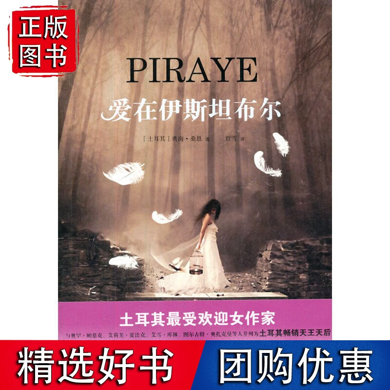 爱在伊斯坦布尔