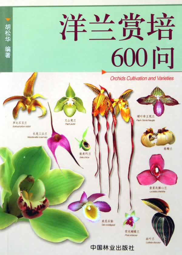 洋兰赏培600问 家居 书籍