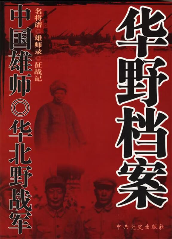 中国雄狮 三野档案 张洪涛 编著