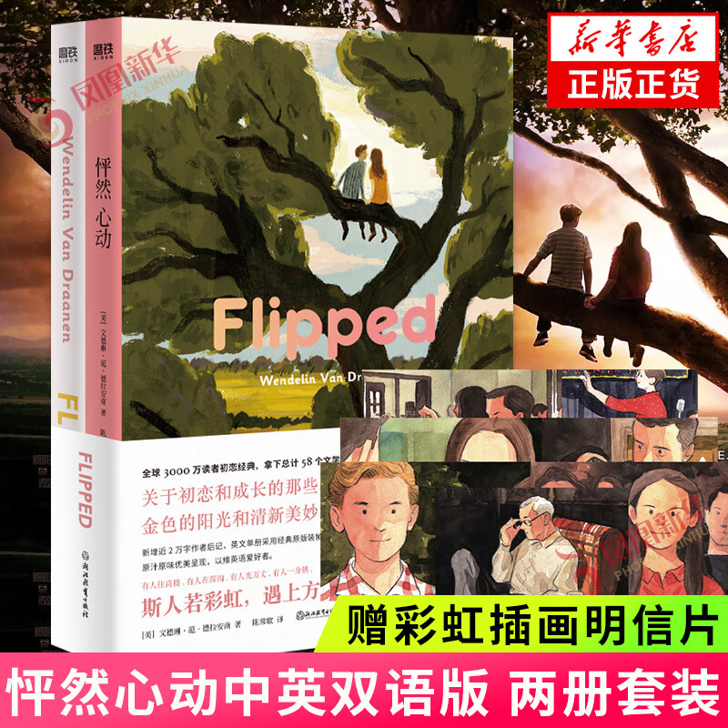 赠明信片 怦然心动 中英双语版 两册套装 对照阅读 文德琳范德拉安南著 小说外国小说 书籍 凤凰旗舰店 正货