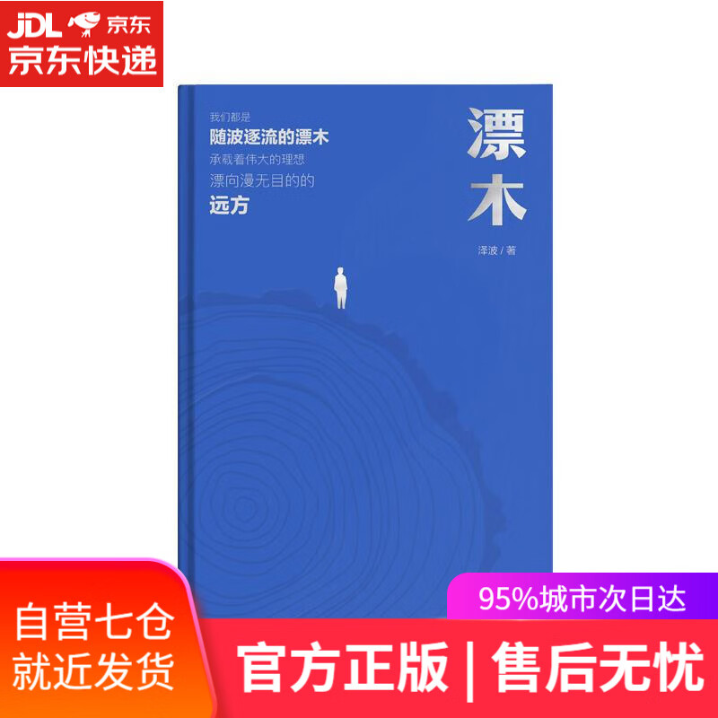 漂木 泽波 成都时代出版社 9787546426112