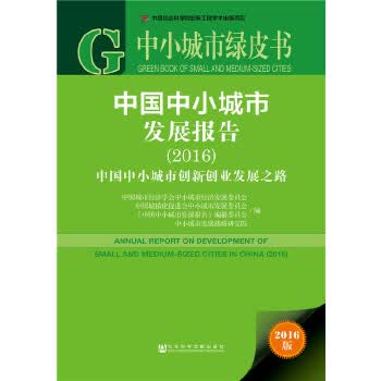 中国中小城市发展报告