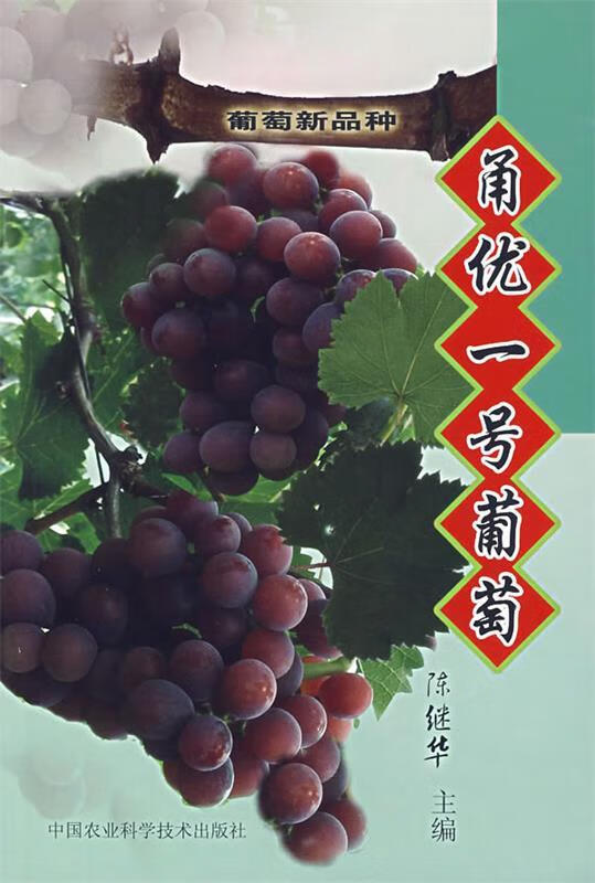 甬优一号葡萄 陈继华 主编 9787802331754