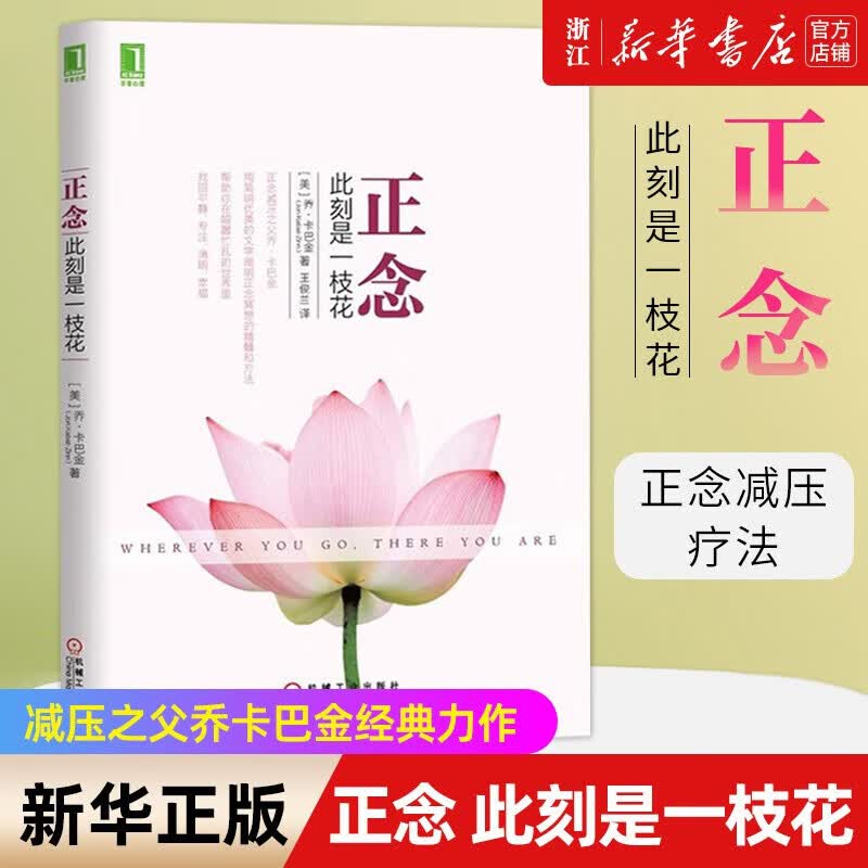 正念(此刻是一枝花) (美)乔·卡巴金