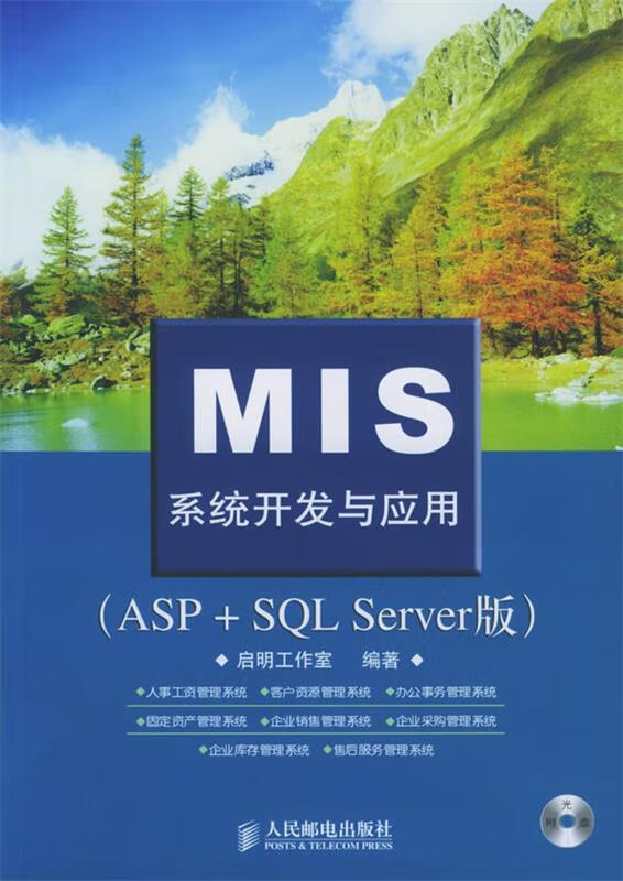 MIS系统开发与应用