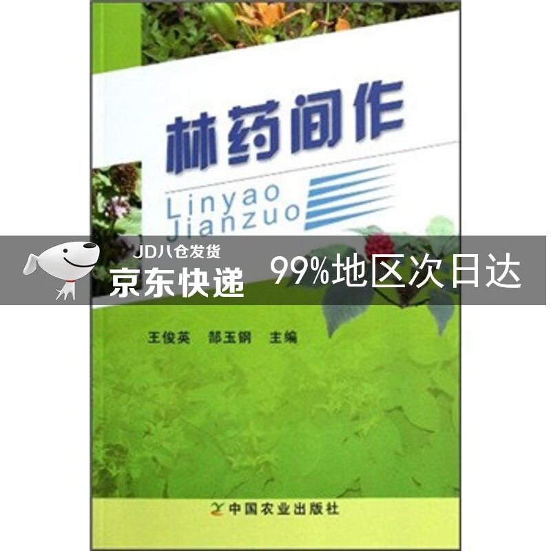 林药间作