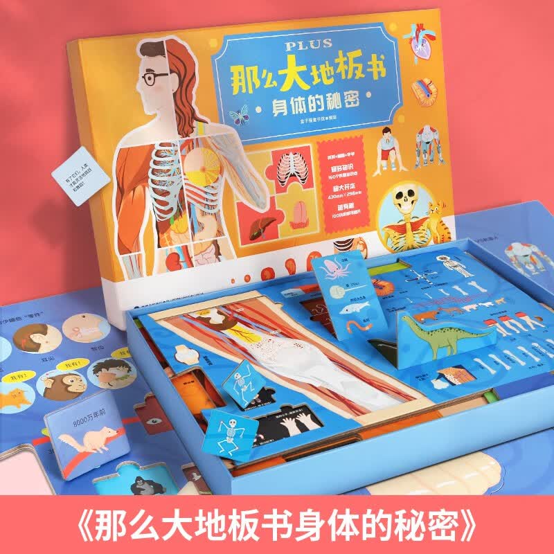 【超大开本礼盒装】那么大地板书:身体的秘密 3-6岁儿童科普百科翻翻书 幼儿揭秘人体启蒙早教认知玩具绘本