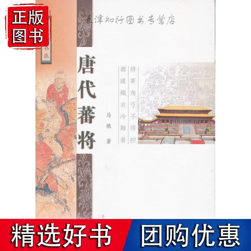 唐代蕃将 大长安书系
