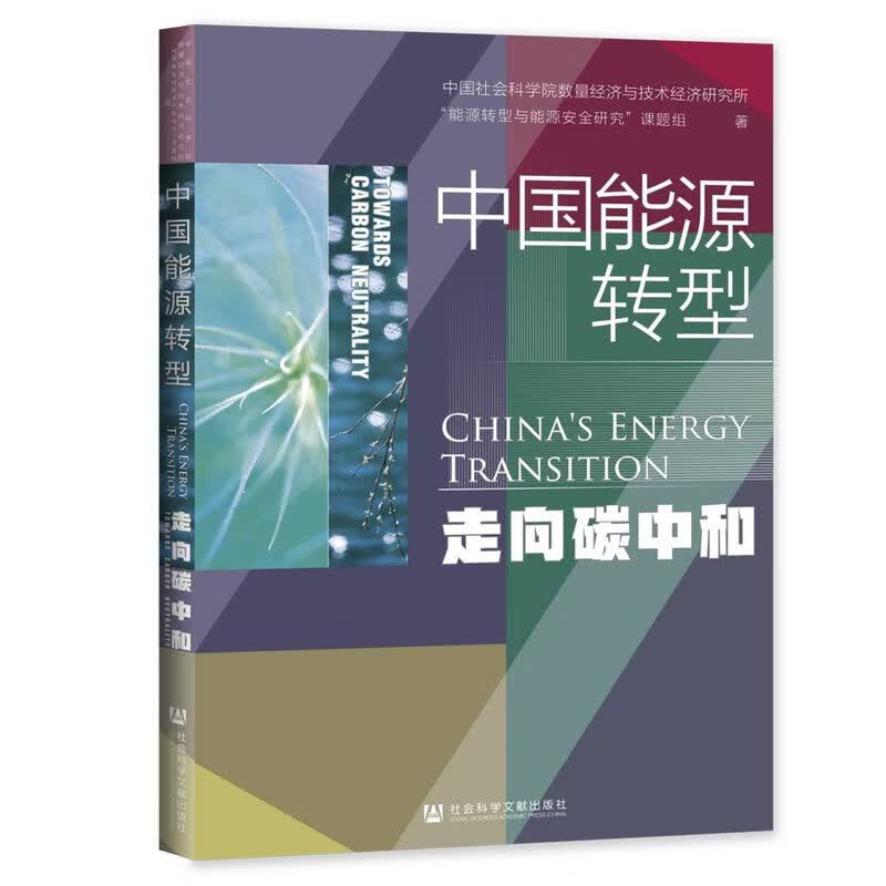 中国能源转型(走向碳中和)