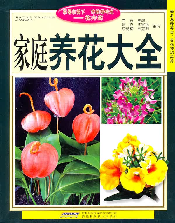 家庭养花大全 羊茜 主编【书】