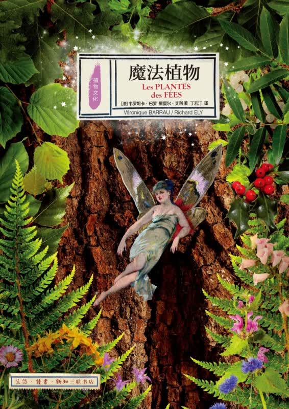 魔法植物