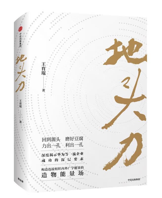 地头力:华为能量场 王育琨