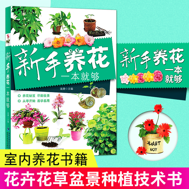 新手养花一本就够 家居 书籍