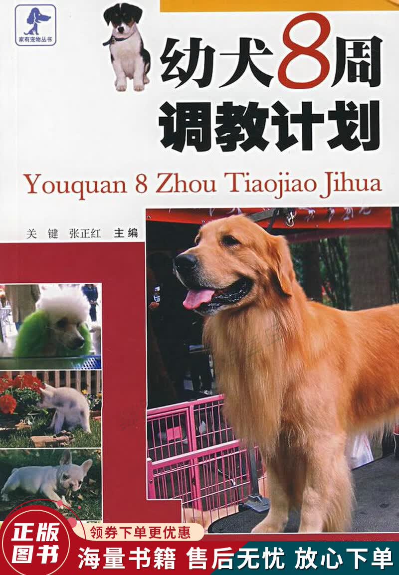 幼犬8周调教计划