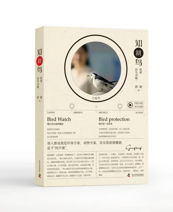 知耕鸟(郭耕拍鸟攻略)