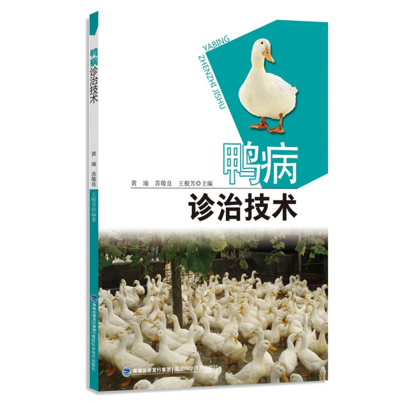 新版 鸭病诊治技术 农家致富金钥匙丛书 科学养鸭技术书籍 鸭病诊治参考书 鸭病害防治方法教程