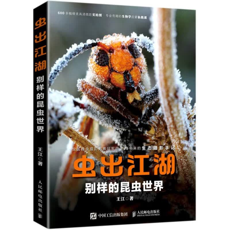 虫出江湖(别样的昆虫世界)