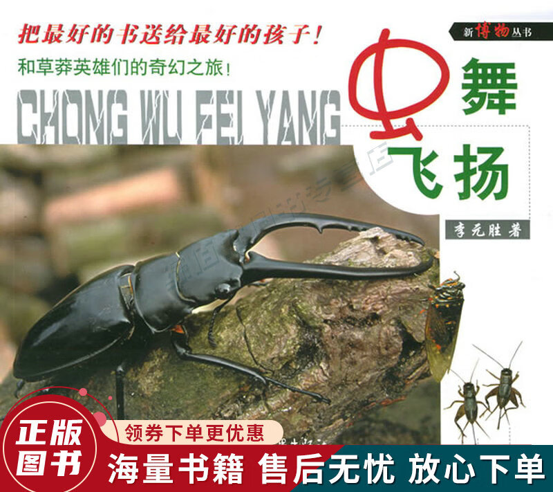 虫舞飞扬
