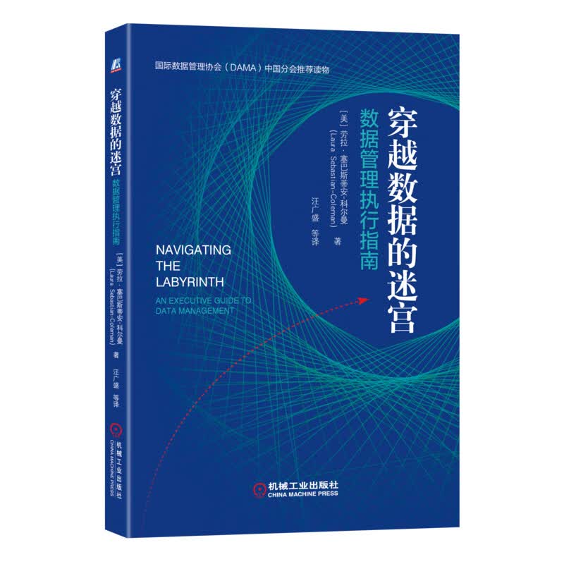现货闪发 穿越数据的迷宫 数据管理执行指南 汪广盛计算机DAMA OMBOK认证教材 数据治理生