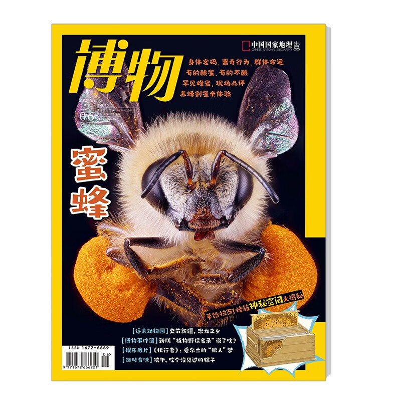 博物 2022年6月号 本期主题【蜜蜂】 中国国家地理青春少年版博物君式科普百科期刊 京东自营