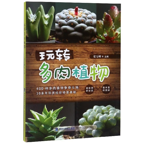 玩转多肉植物