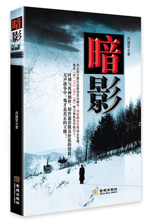 暗影 肖建军【书】