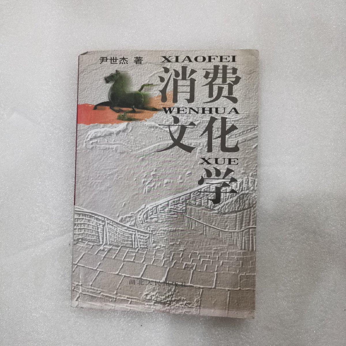 可开发票 保证！消费文化学