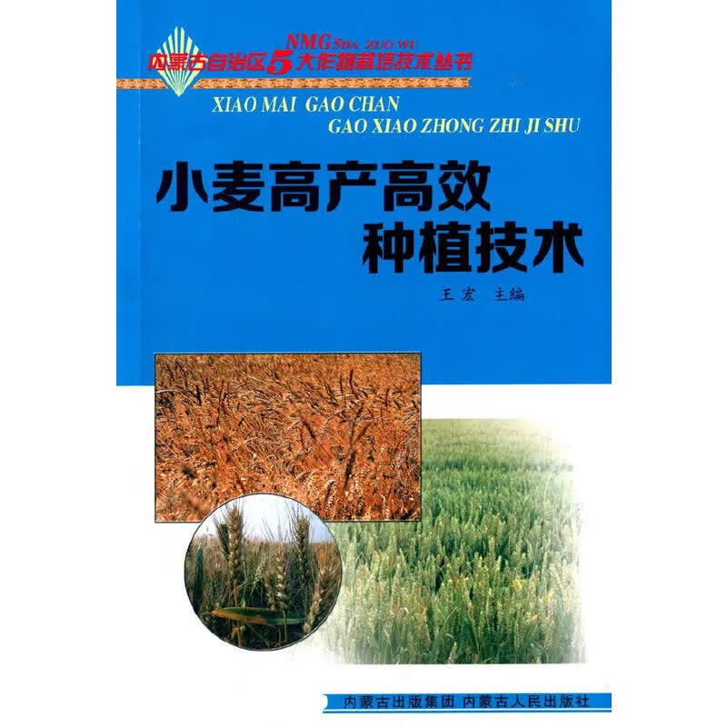小麦高产高效种植技术