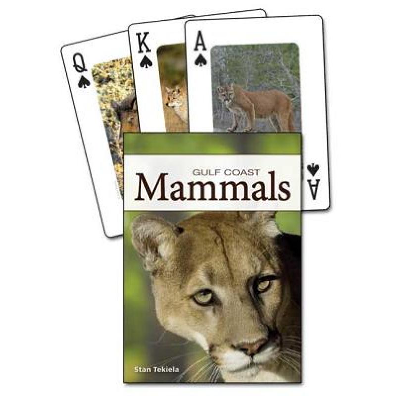 Mammals of the Gulf Coast