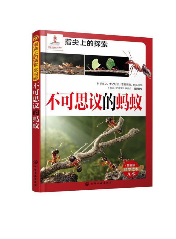 不可思议的蚂蚁