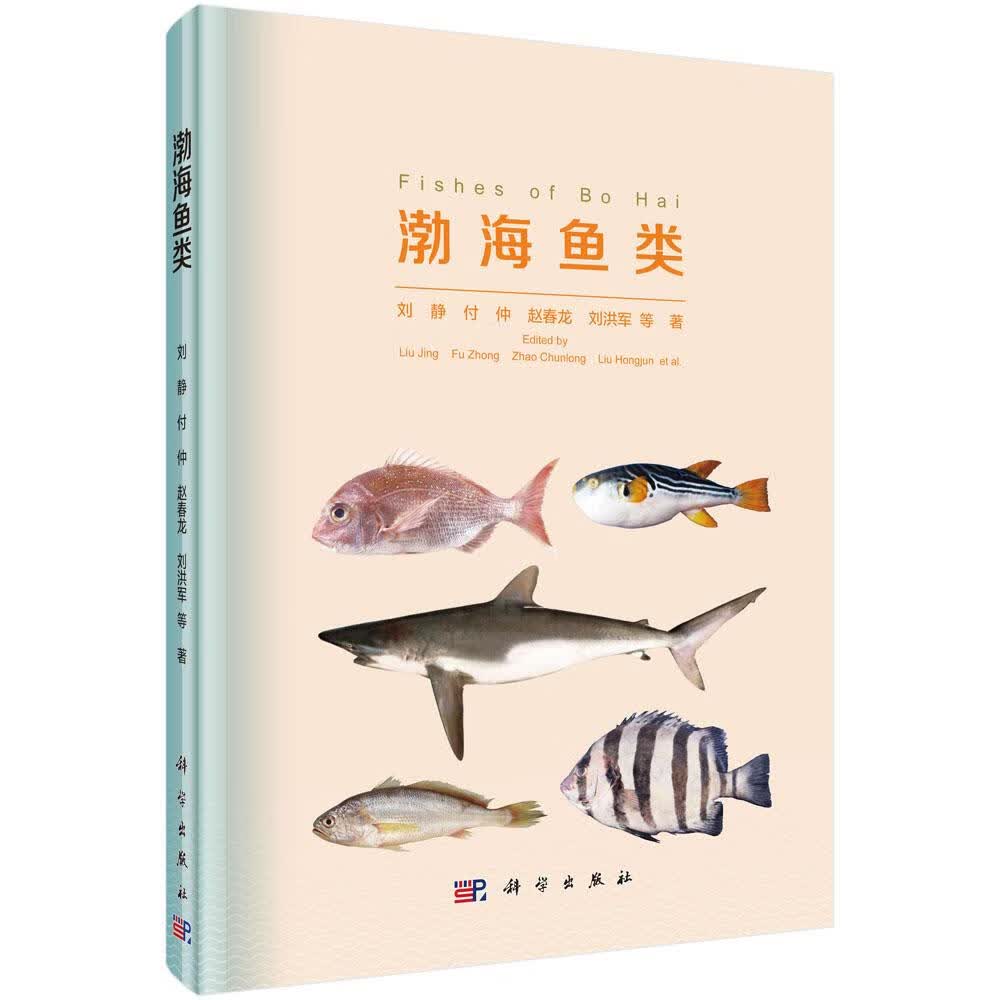 渤海鱼类 渤海鱼类形态特征地理分布生态济意义研究书籍 渤海沿海采集的鱼类标本 渤海鱼类分类物种多样性