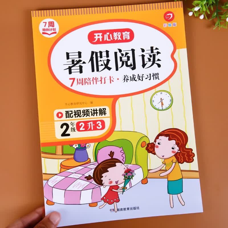 二升三暑假衔接阅读理解专项训练二年级下册暑假作业人教版小学二年级升三年级上语文数学2升3口算应用题同步练字帖强化专项训练书 【加厚100页单本】带视频讲解暑假阅读理解