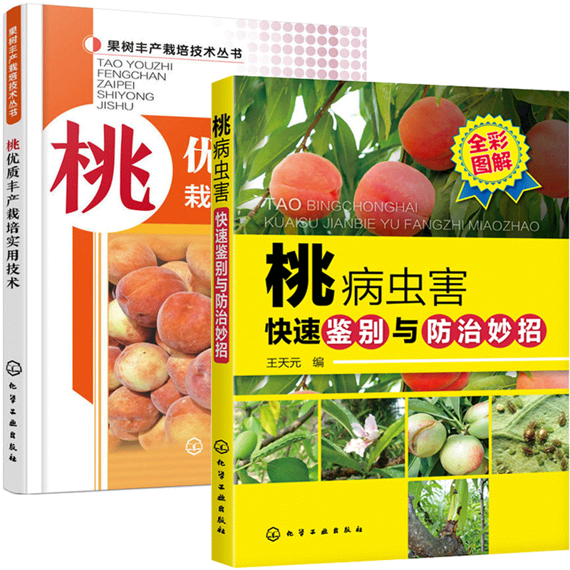 桃优质丰产栽培实用技术+桃病虫害快速鉴别与防治妙招 桃树种植书籍 水蜜桃蟠桃油桃黄桃种植技术大全