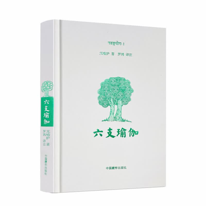 包邮 六支瑜伽 （古印度）无喻护著 罗鸿译注 中国藏学出版社 圆成次第要义 瑜伽行者品质 四分瑜