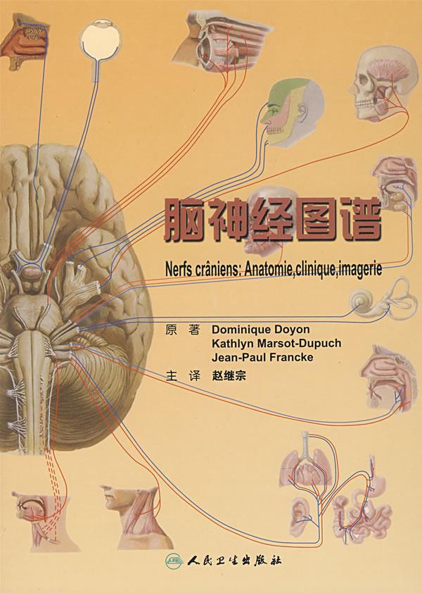 脑神经图谱 赵继宗主译