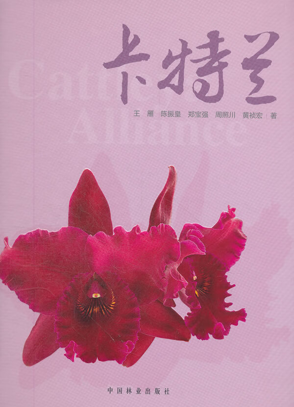 卡特兰 王雁等著
