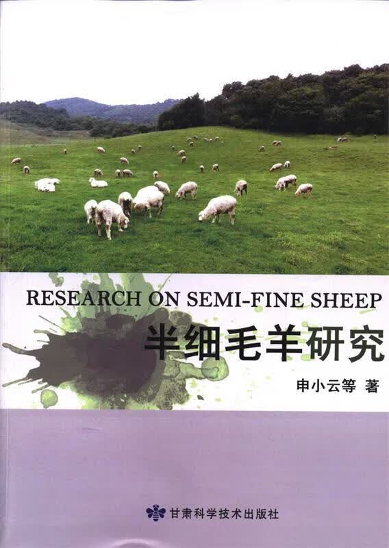 半细毛羊研究